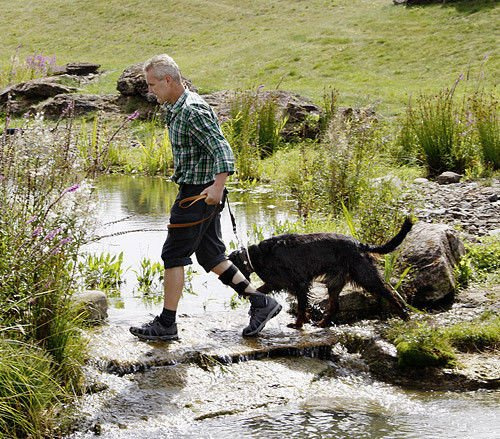 Otto Bock WalkOn Reaction Drop-Foot Brace - Carbon Fiber | e ...